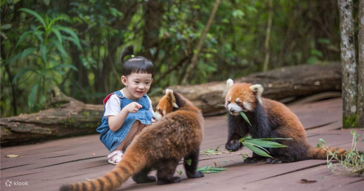 Vân Nam, Tây Song Bản Nạp, Phổ Nhĩ, Gia đình - Klook Việt Nam